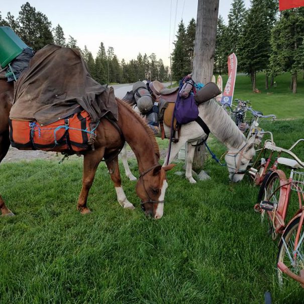 Rollins RV Park – Rollins RV Park