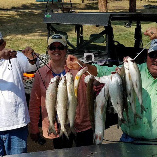 Rollins RV Park – Rollins RV Park